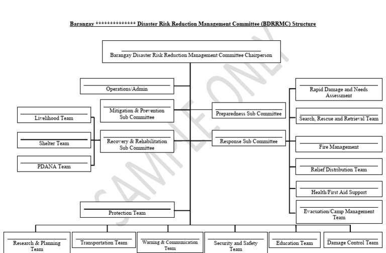 2-BDRRMC-Structure-1-4 | PDF | Emergency Management | Meteorology