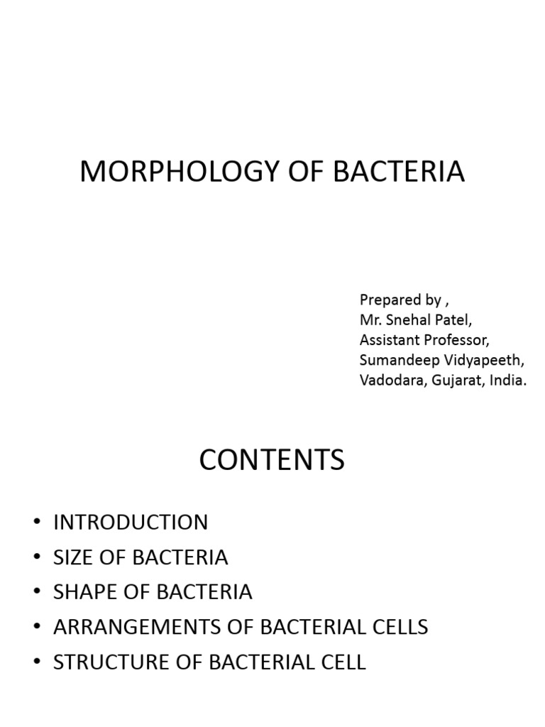 Morphologyofbacteria 171125164257 Pdf Bacteria Cell Biology