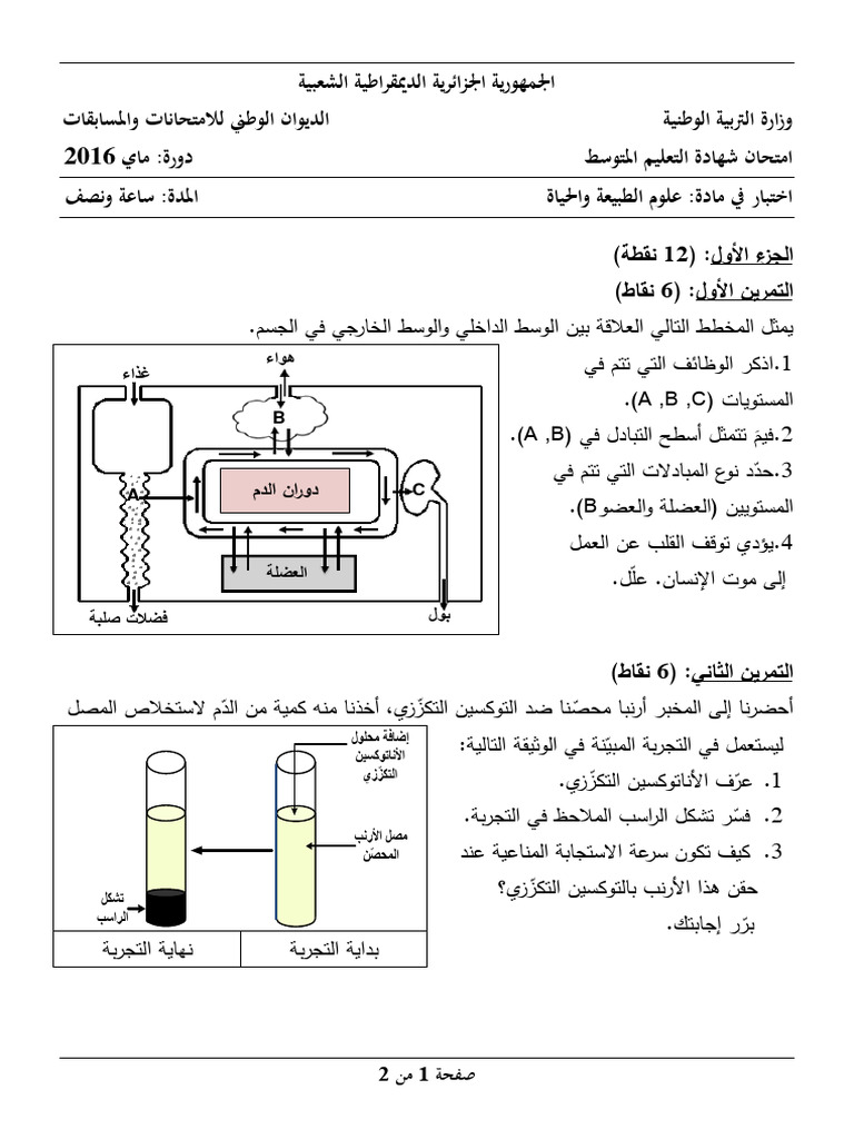Dzexams Bem Sciences 522104 | PDF