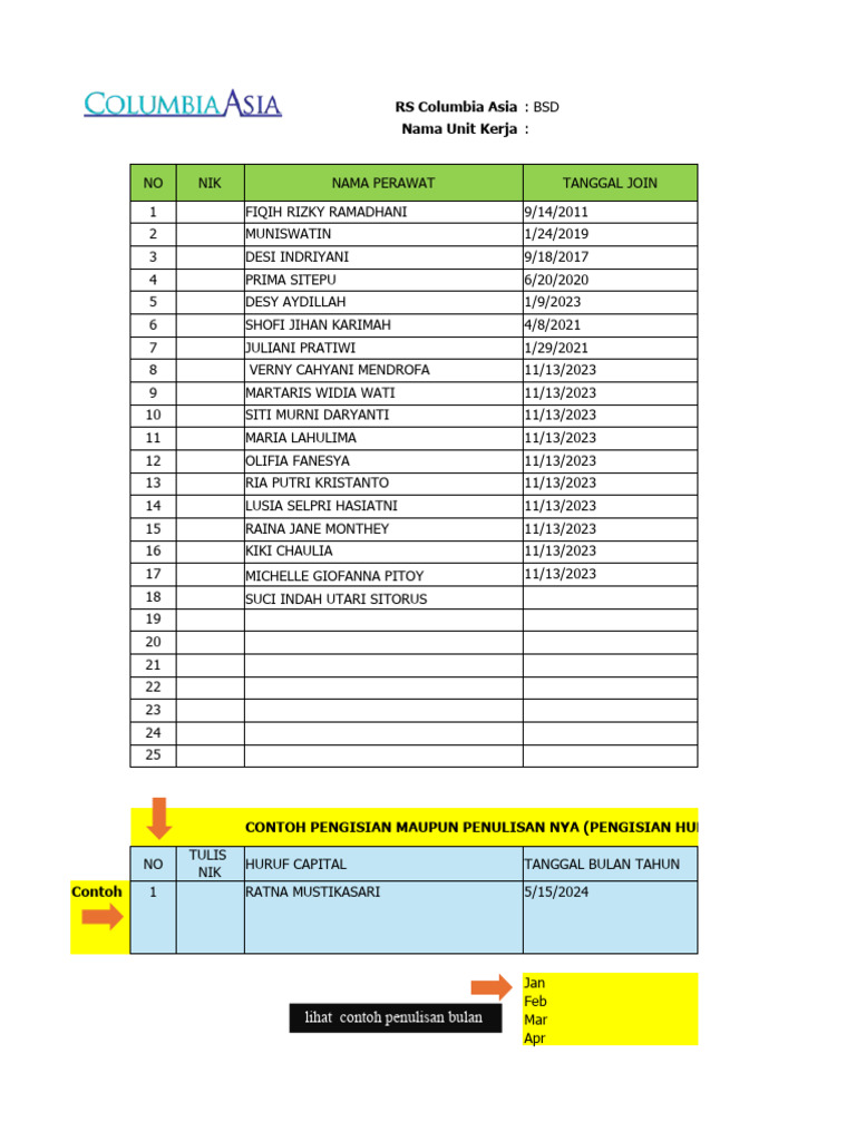 Template Data SDM Nursing RSCA Indonesia1-Rev | PDF
