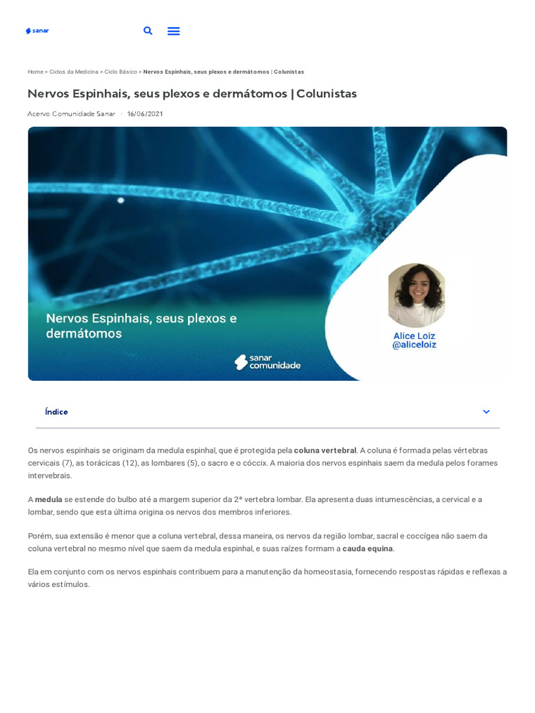 Funções dos Nervos Espinhais e Plexos | PDF | Coluna vertebral | Nervo