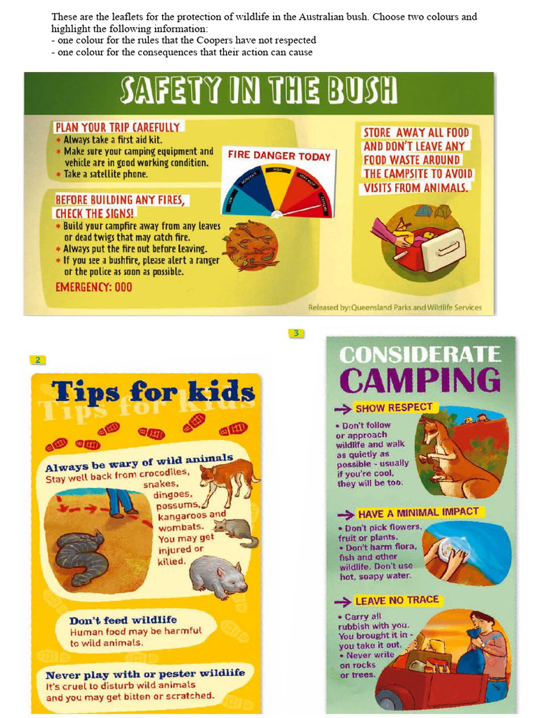 Safety in the Bush | PDF