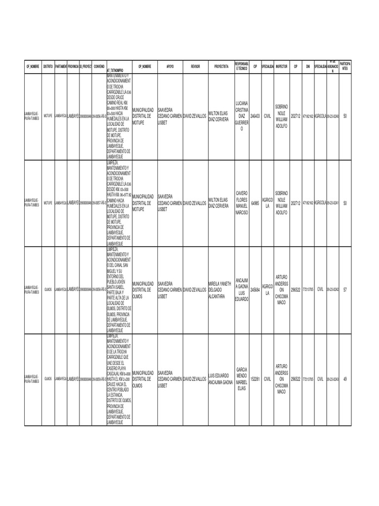 Proy Revisor Apoyo RT Inspec | PDF