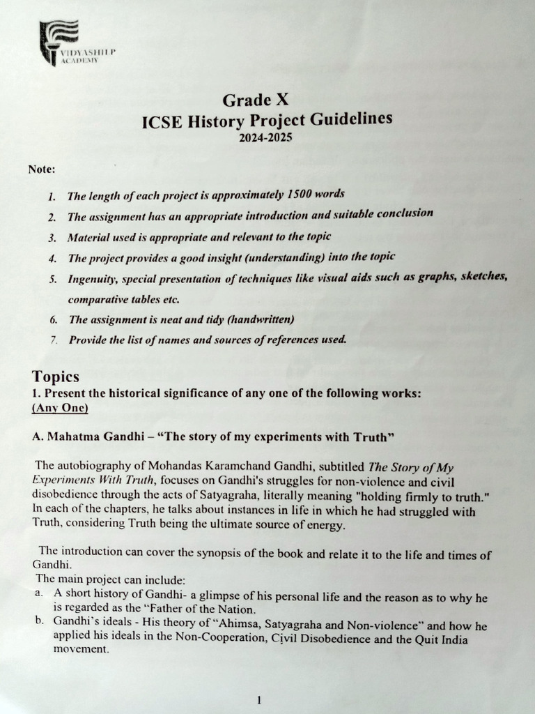 History Project Guidelines | PDF