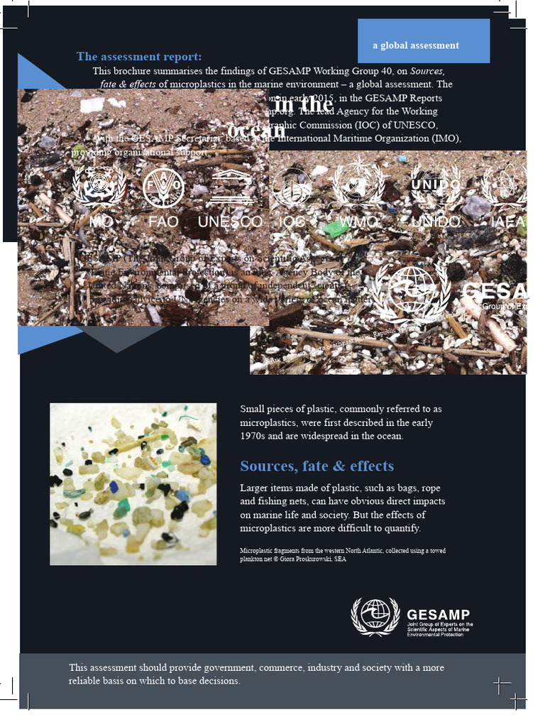 Microplastics in The Ocean - A Global Assessment | PDF | Plastic | Oceans