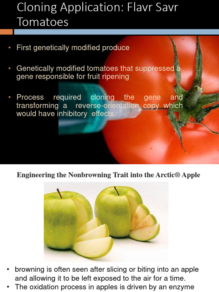 Lecture 3 Biotechnology Applications | PDF