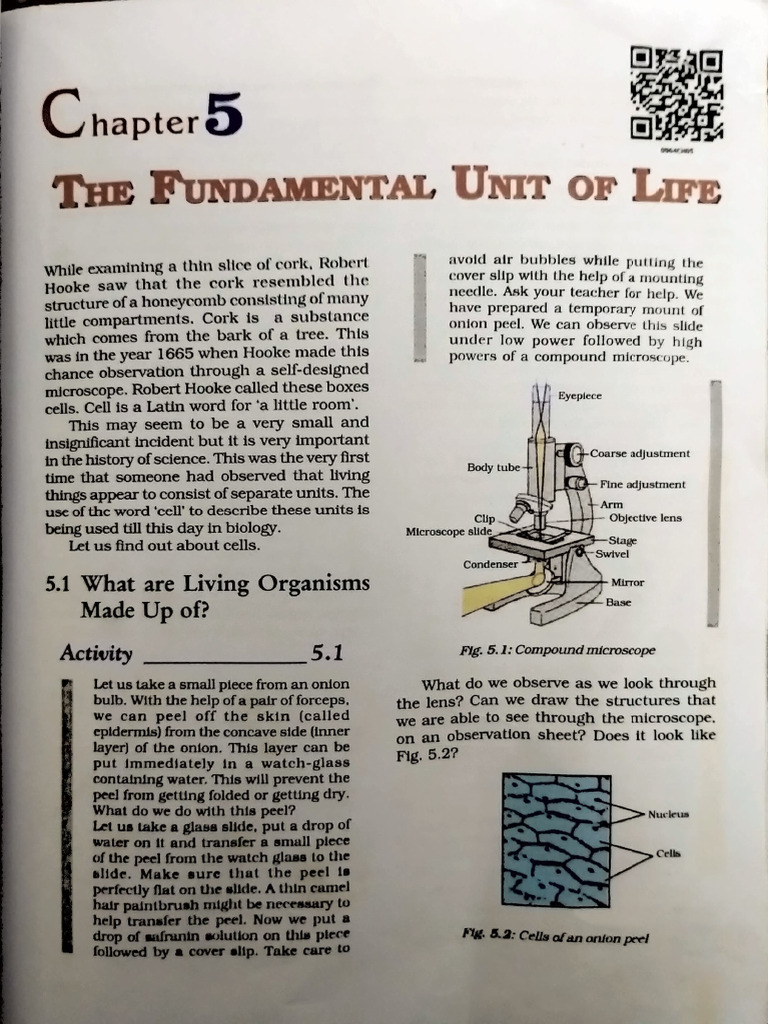 The Fundamental Unit of Life Science | PDF | Histology | Biophysics