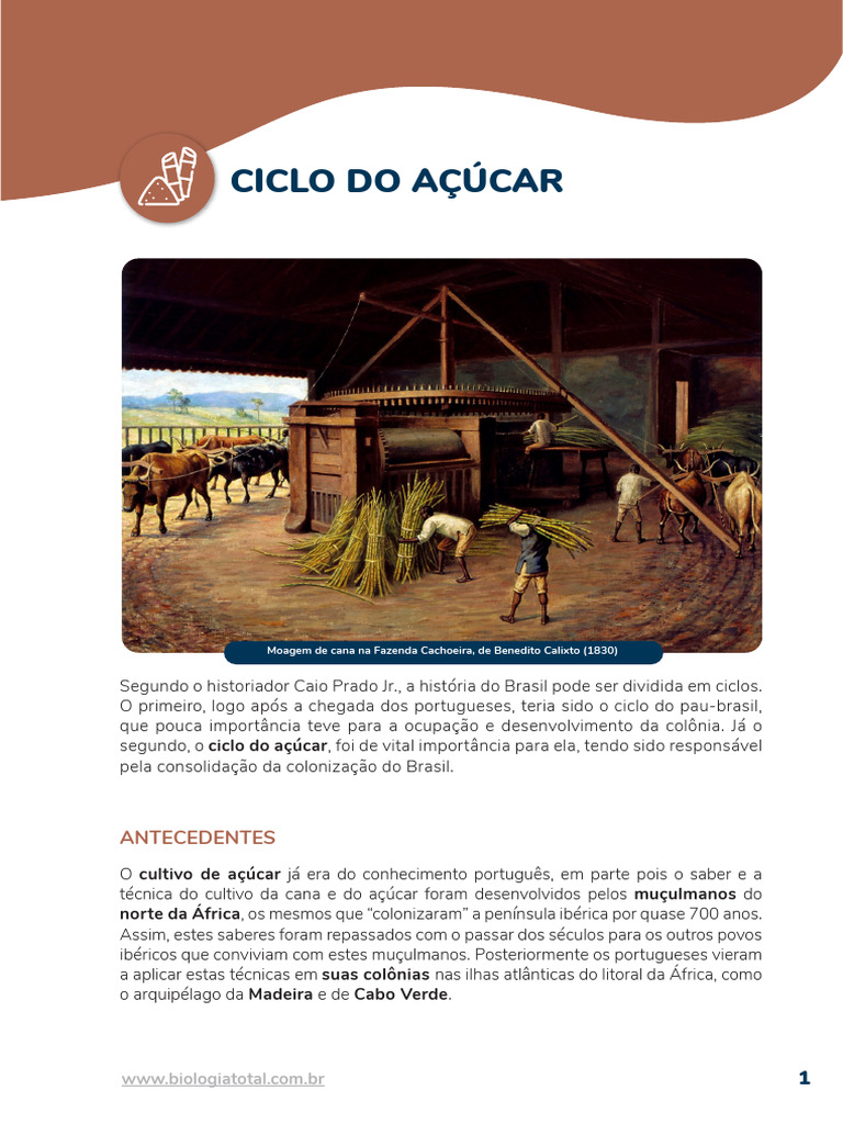 HST - AP - Brasil Colônia - Brasil - Ciclo Do Açúcar | Download grátis ...