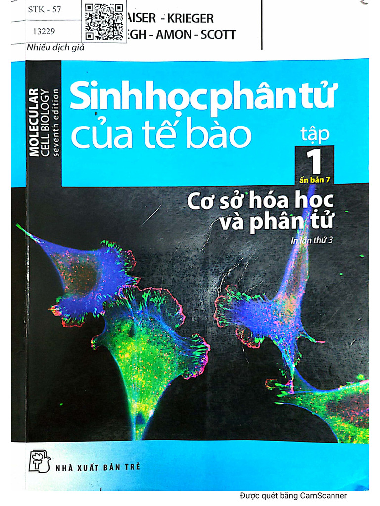 Co So Hoa Hoc Va Phan Tu | PDF
