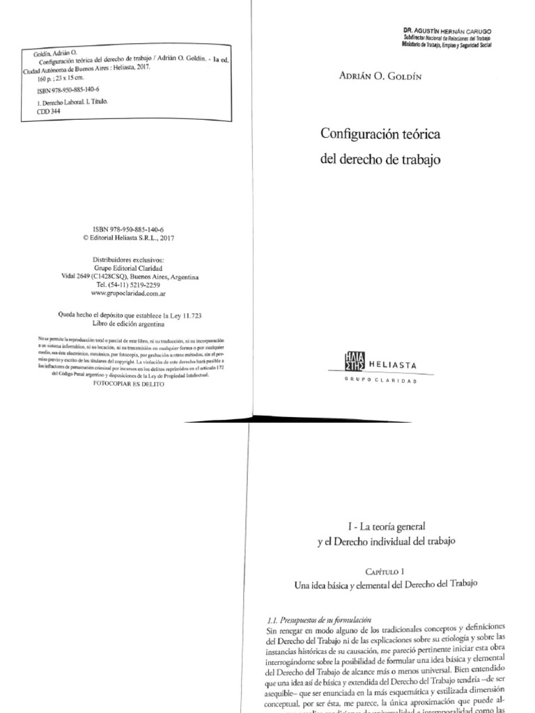 Goldin. Configuración teórica del Derecho del Trabajo. Idea básica e ...