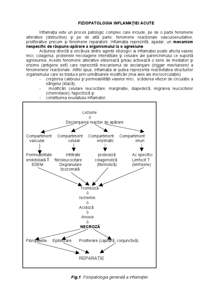 Inflamatia Medicina | PDF