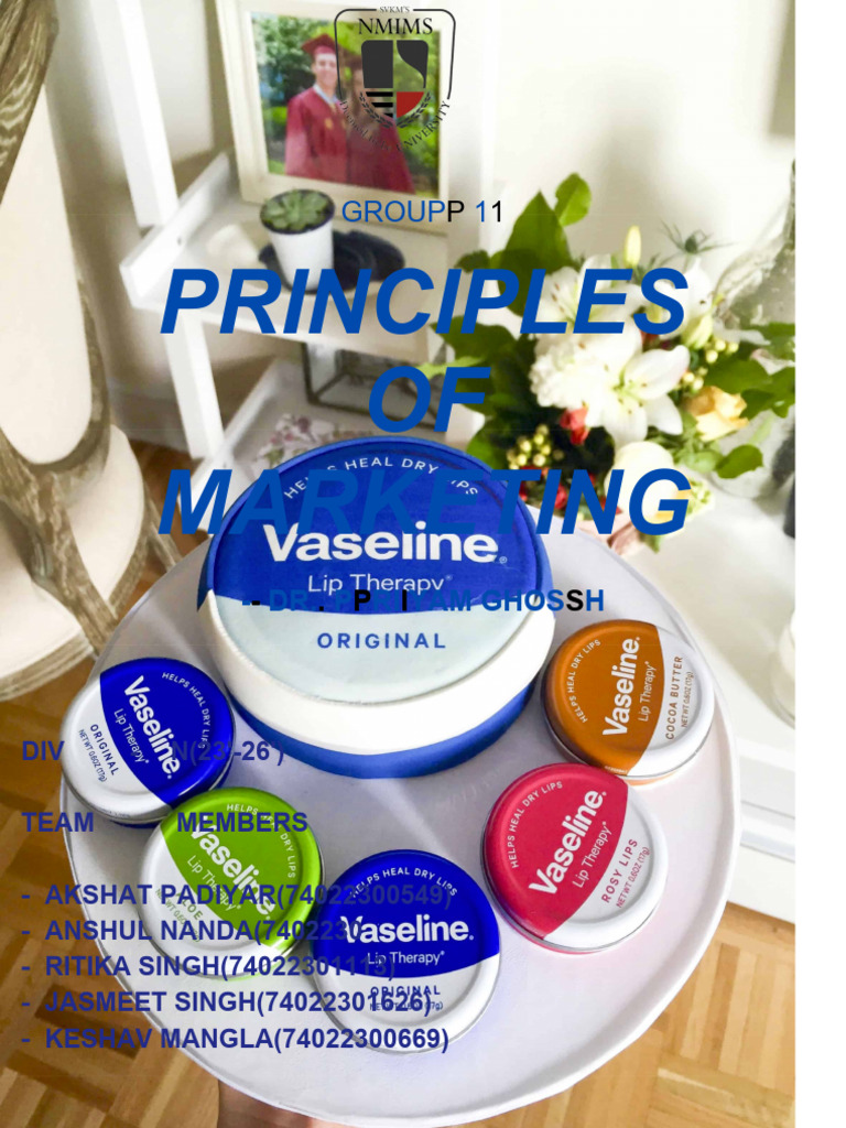 Group 1 - Vaseline Lip Therapy | PDF | Brand | Market Segmentation