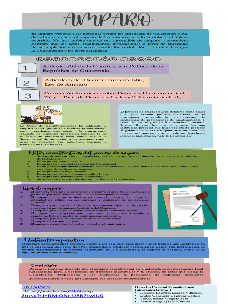 Infografia Del Amparo Constitucional | PDF | Constitución | Derechos ...