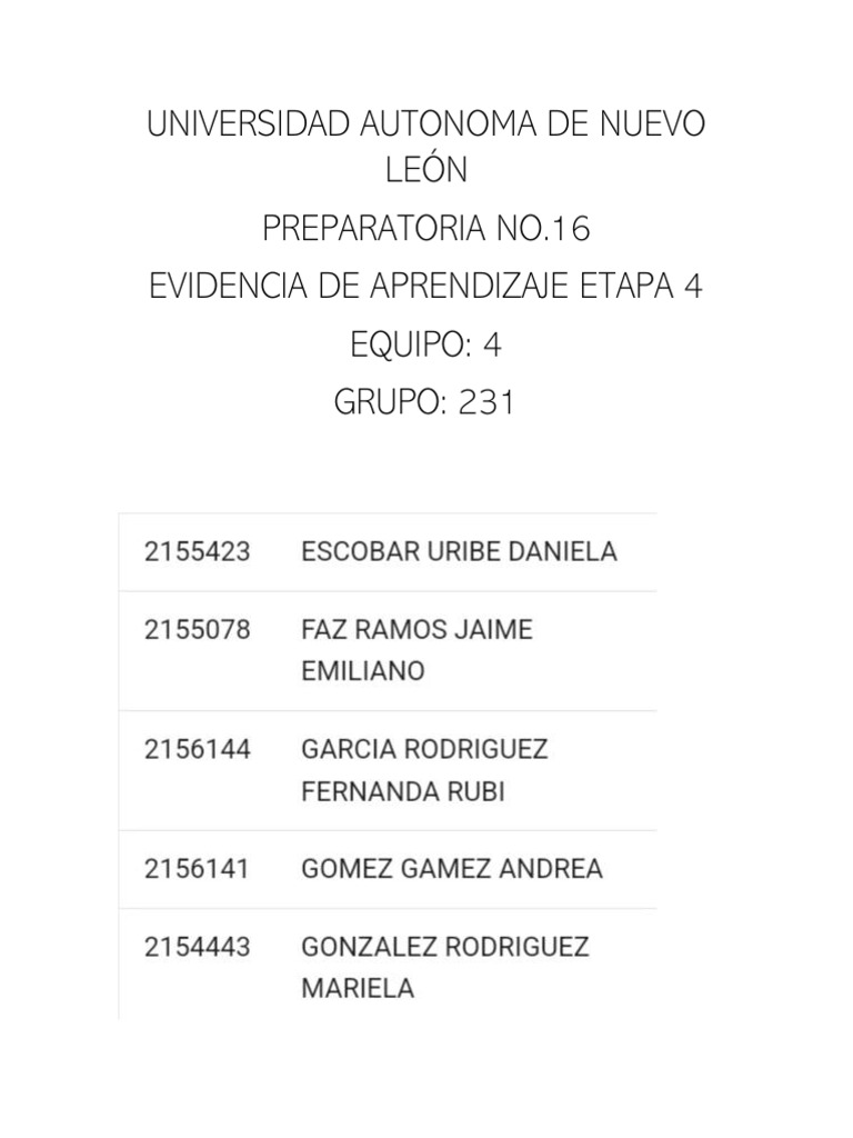 E4 Equipo4 MFE | PDF