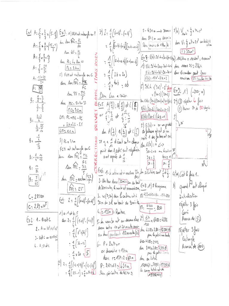 Corrections DNB Blanc Mars 2024 | PDF