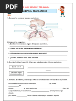 Ficha de Sistema Respiratorio para Primaria | PDF