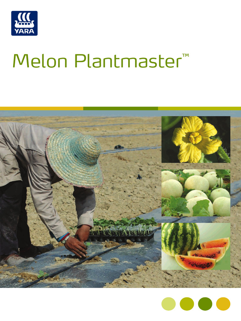 Plantmaster Melao e Melancia - en | PDF | Watermelon