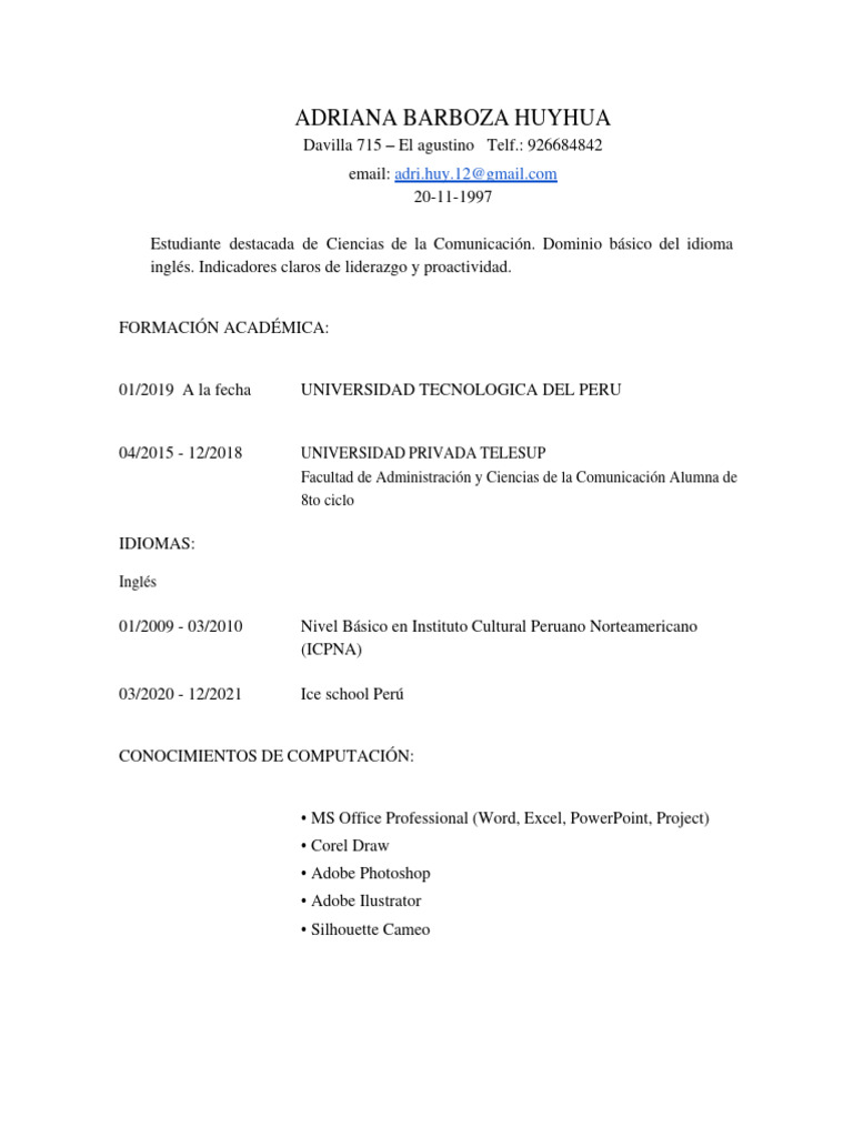 Ejemplo de CV - Curriculum Vitae | PDF | Informática | Comunicación