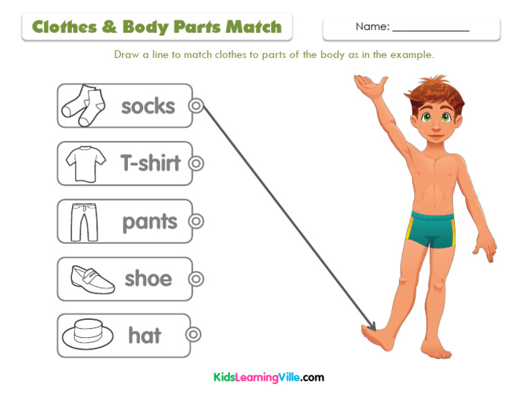 Match Clothes to Body Parts | PDF | Career & Growth