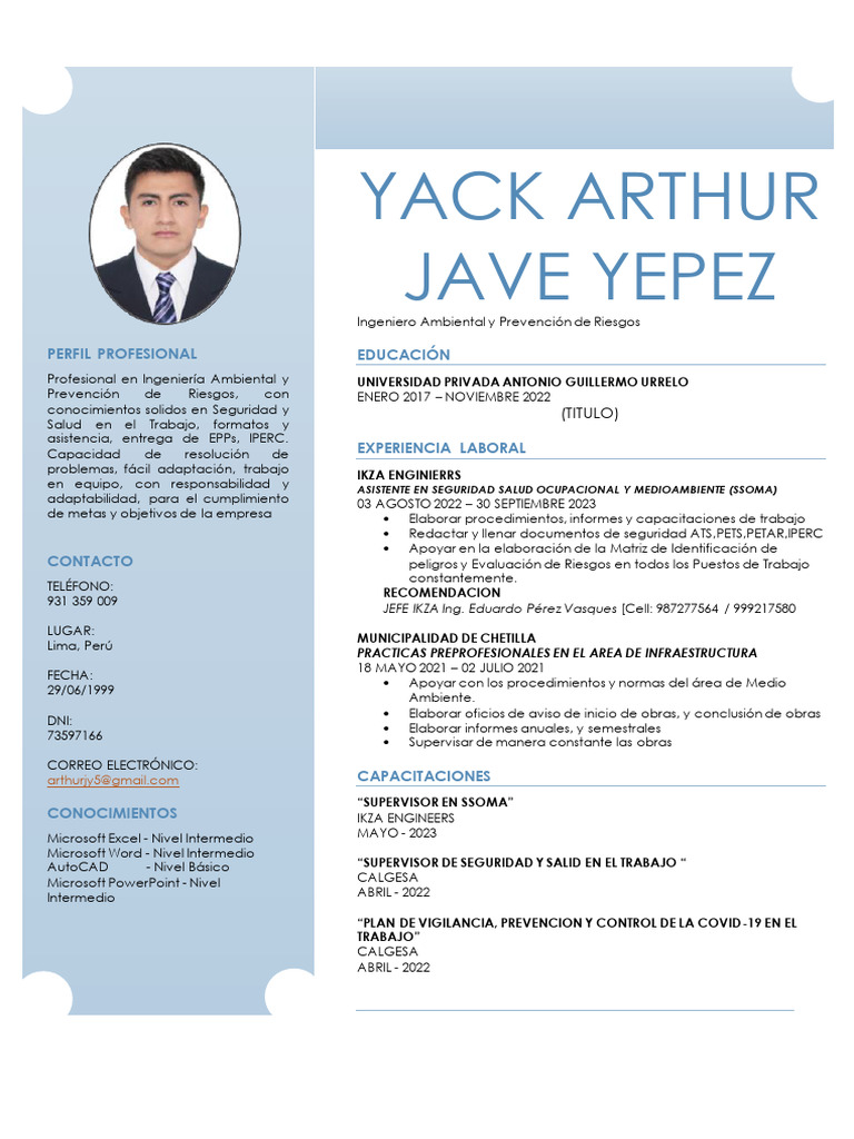 CV Arthur LM | PDF