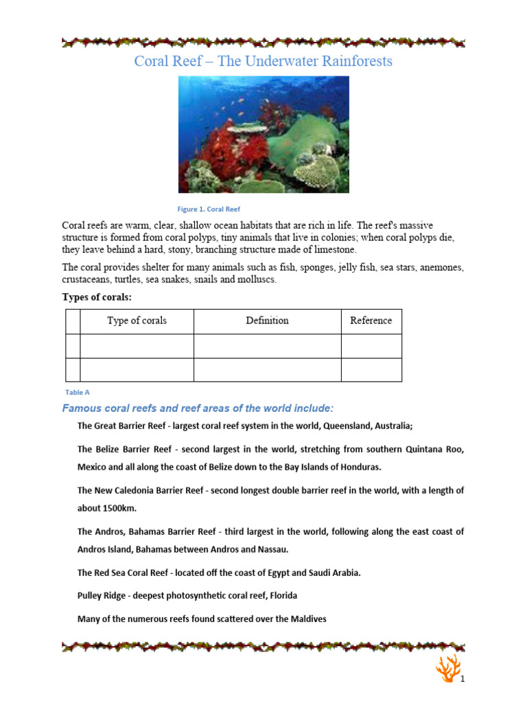 Coral Reef | PDF | Coral Reef | Coral