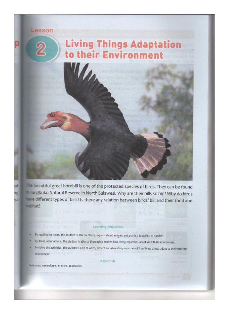 Adaptation To Their Everionment of Living Thing | PDF