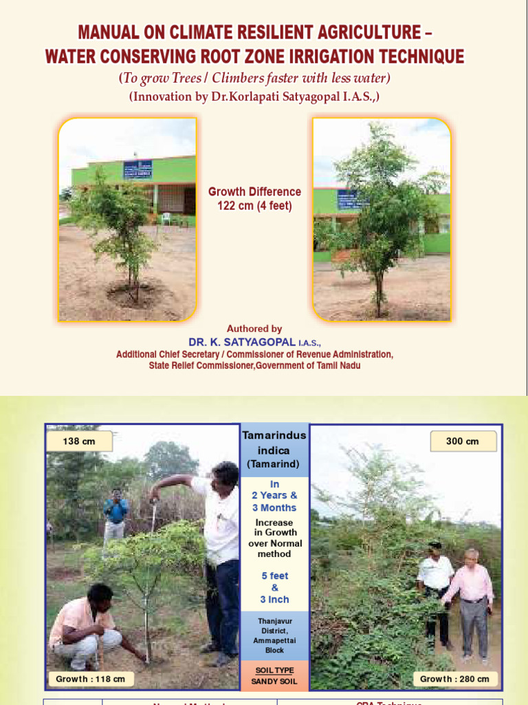 CRA Technique | PDF | Trees