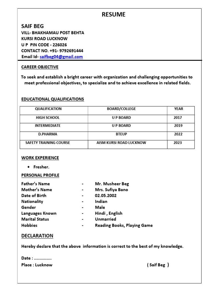 Saif Beg Resume | PDF