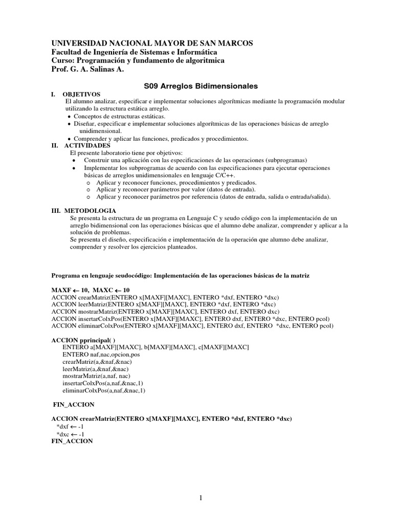 Pra S09 Guia Array Bidimen | PDF | Matriz (Matemáticas) | Ingeniería de software
