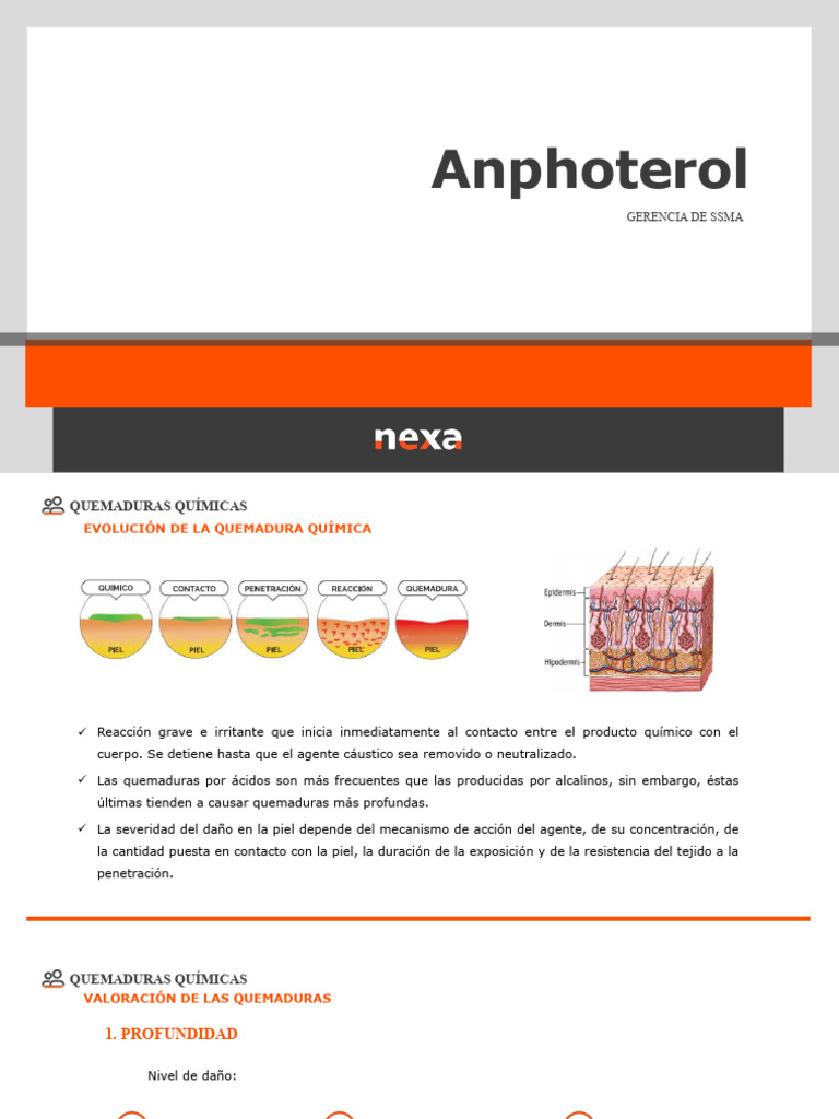Capacitación Anphoterol MTTO VEOLIA | PDF | Quemar | Ácido