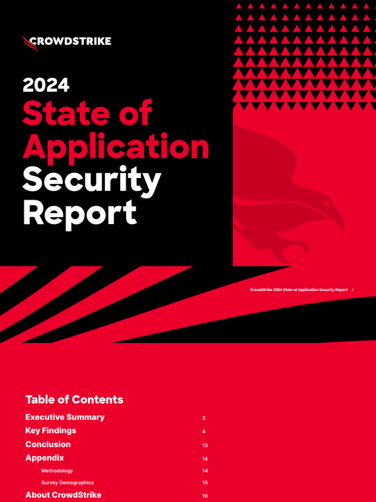 AppSec Challenges & Insights 2024 | PDF | Computer Security | Security