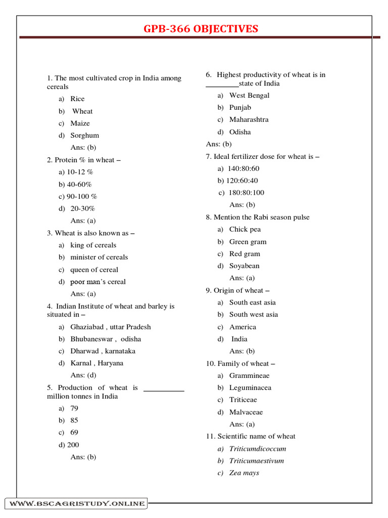 Rabi Crop Improvement MCQ Guide | PDF | Tobacco | Oat