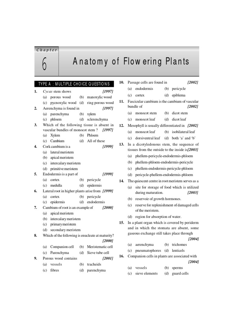 Anatomy of Flowering Plants | PDF | Plant Stem | Tissue (Biology)