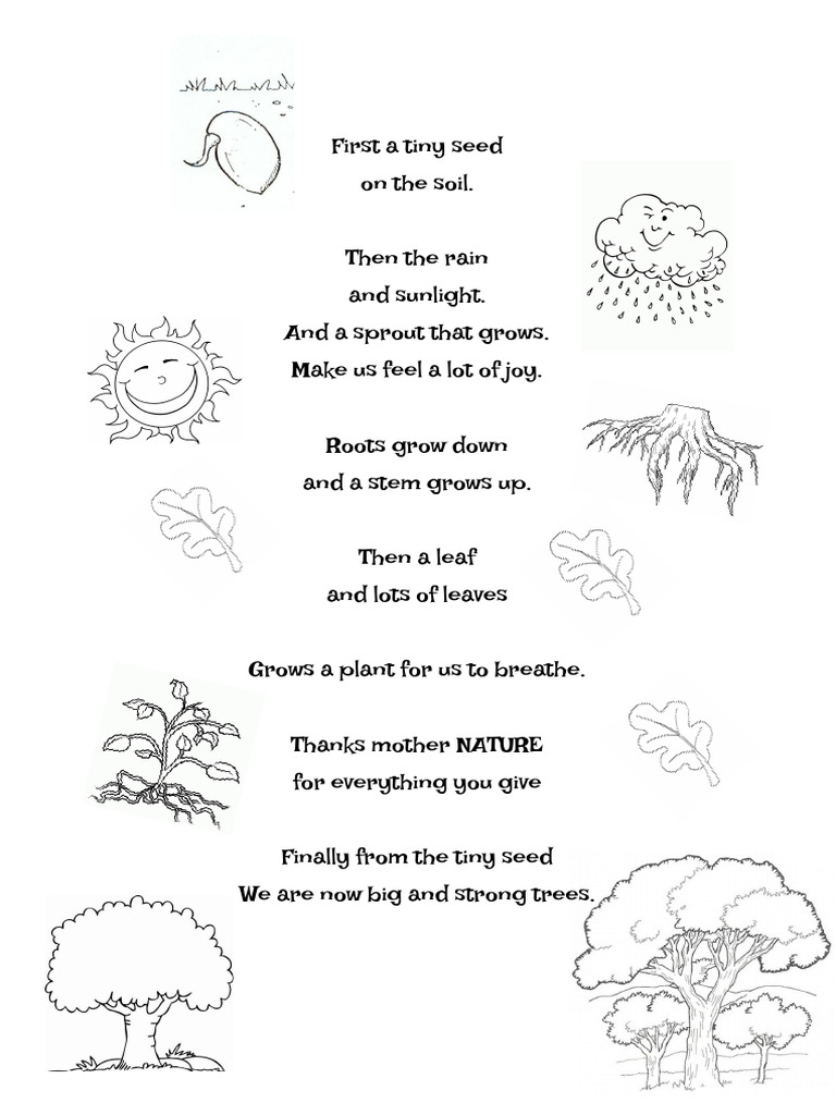 PLANT LIFE CYCLE POEM | PDF