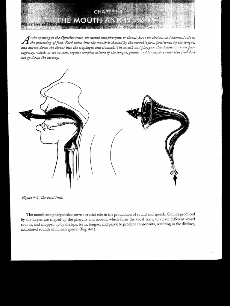 Anatomy of The Voice - Chapter 4 - Theodore Dimon | PDF | Tongue | Larynx