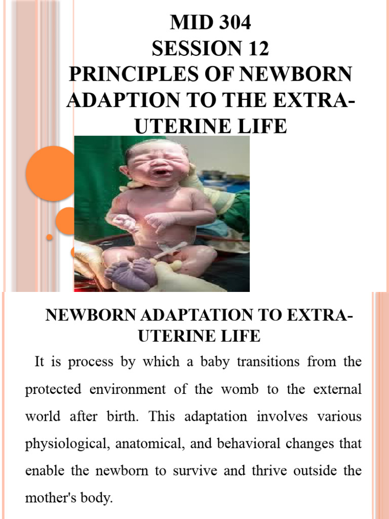 Ses 12 Principles of Newborn Adaption To The Extra-Uterine Life | PDF | Fetus | Anatomy