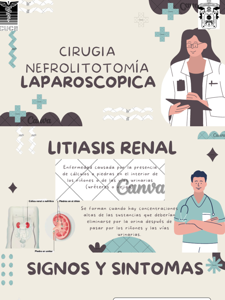 Laparos | PDF | Urología | Sistema urinario