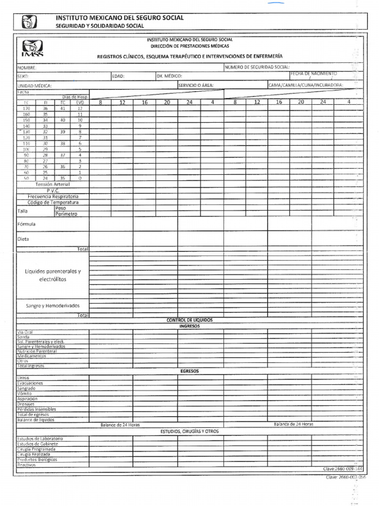 Hoja de Enfermería Imss | PDF