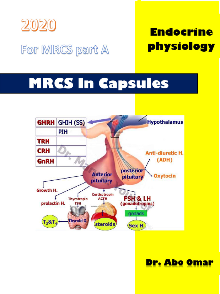 Endocrine Physiology Overview Guide | PDF | Testosterone | Luteinizing ...