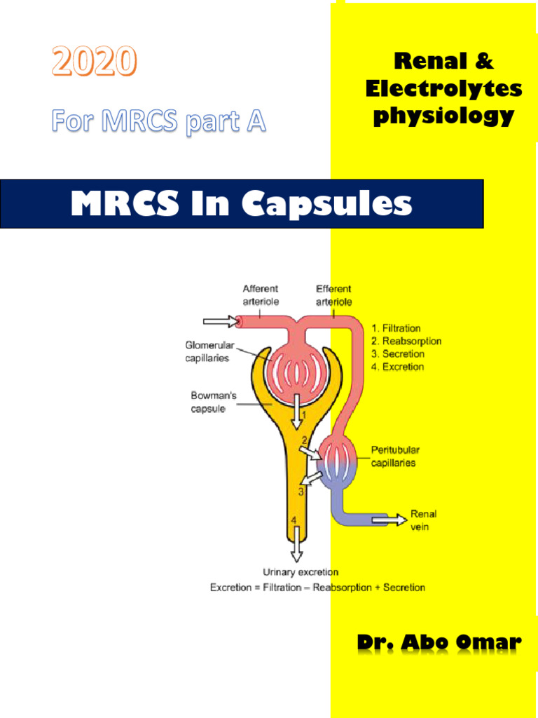 Renal Physiology and Electrolyte Balance | PDF | Angiotensin ...