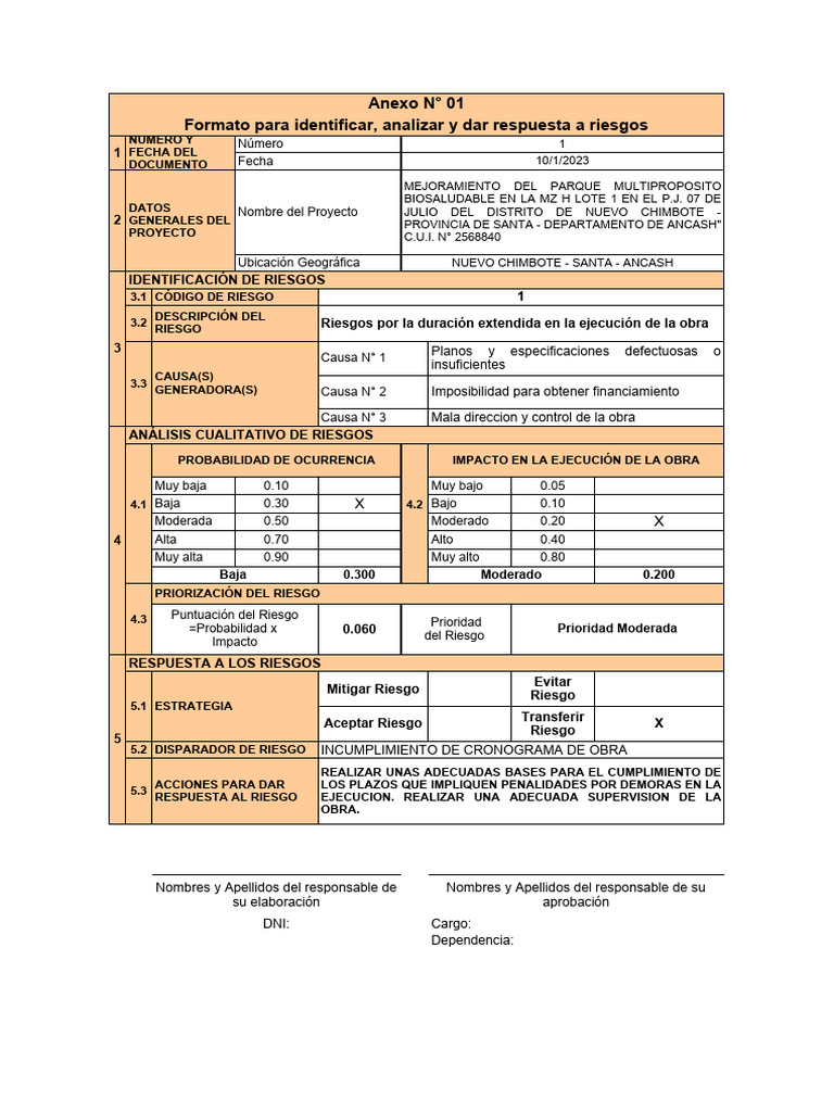Formatos Riesgos | PDF