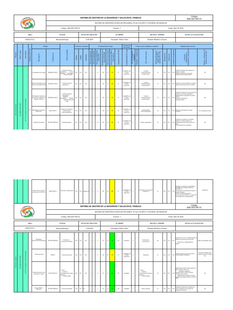 SSE-SST-MT-01 MATRIZ DE PELIGROS SST | PDF | Dolor lumbar | Medicina SSE-SST-MT-01 MATRIZ DE PELIGROS SST | PDF | Dolor lumbar | Medicina