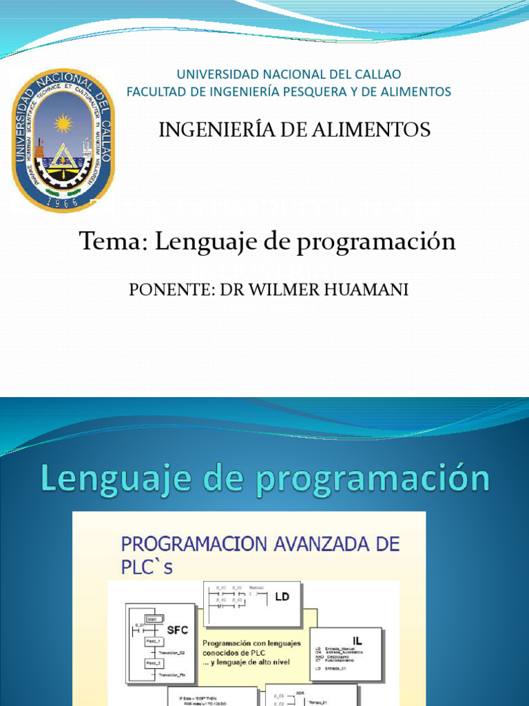 Lenguaje de Programación | PDF | Cadena (informática) | Tipo de datos