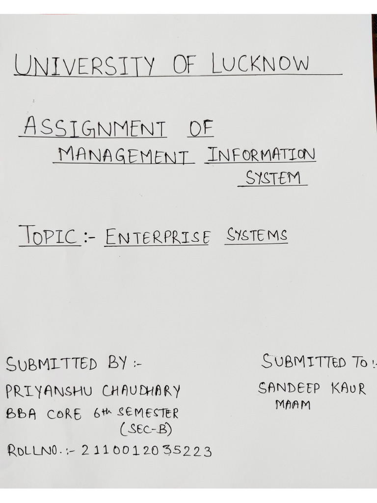Mis Assignment | PDF