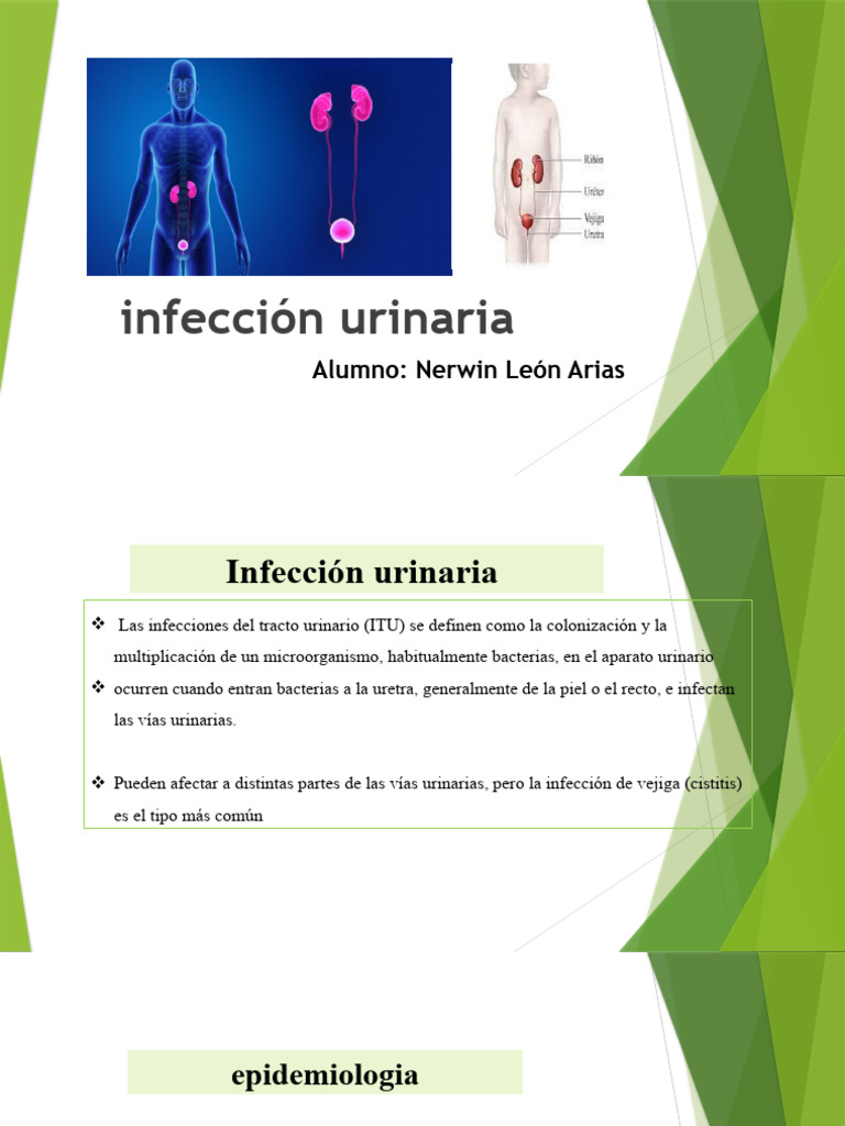 Infeccion Urinaria Nerwin Completa | PDF | Infección del tracto ...