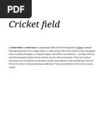 Cricket Pitch Dimensions | PDF