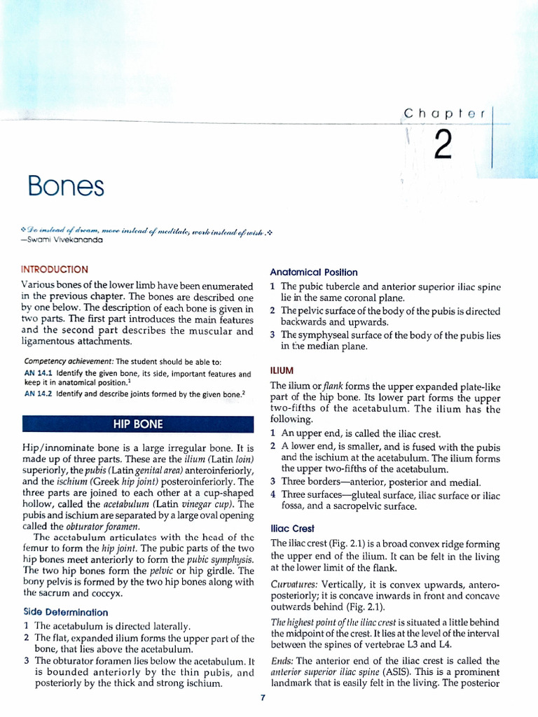 Lower Limbs Bones Part - 1 | PDF | Pelvis | Lower Limb Anatomy