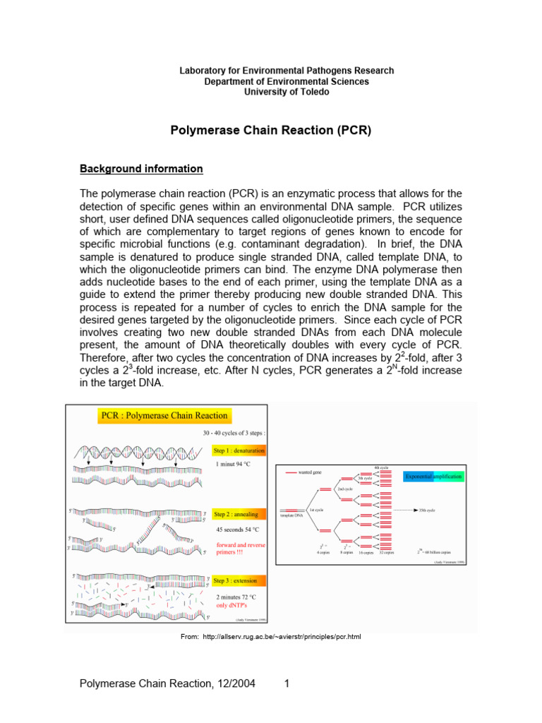 Polymerase Chain Reaction (PCR) : Background Information | PDF | Polymerase Chain Reaction ...