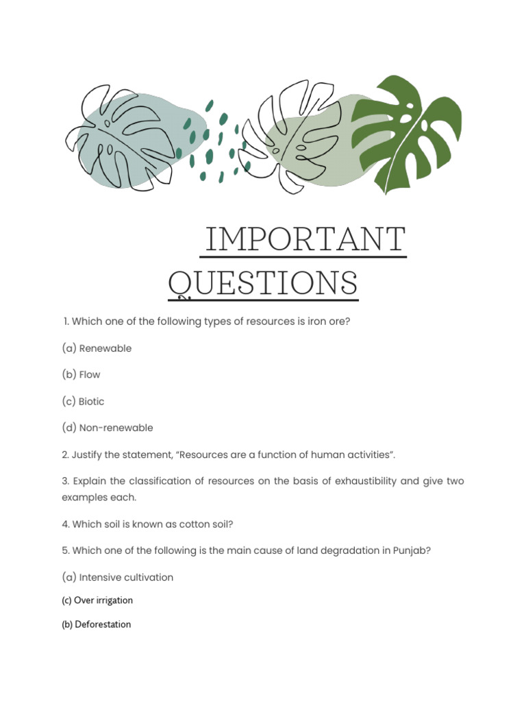 Important Questions Geography | PDF | Rock (Geology) | Biodiversity