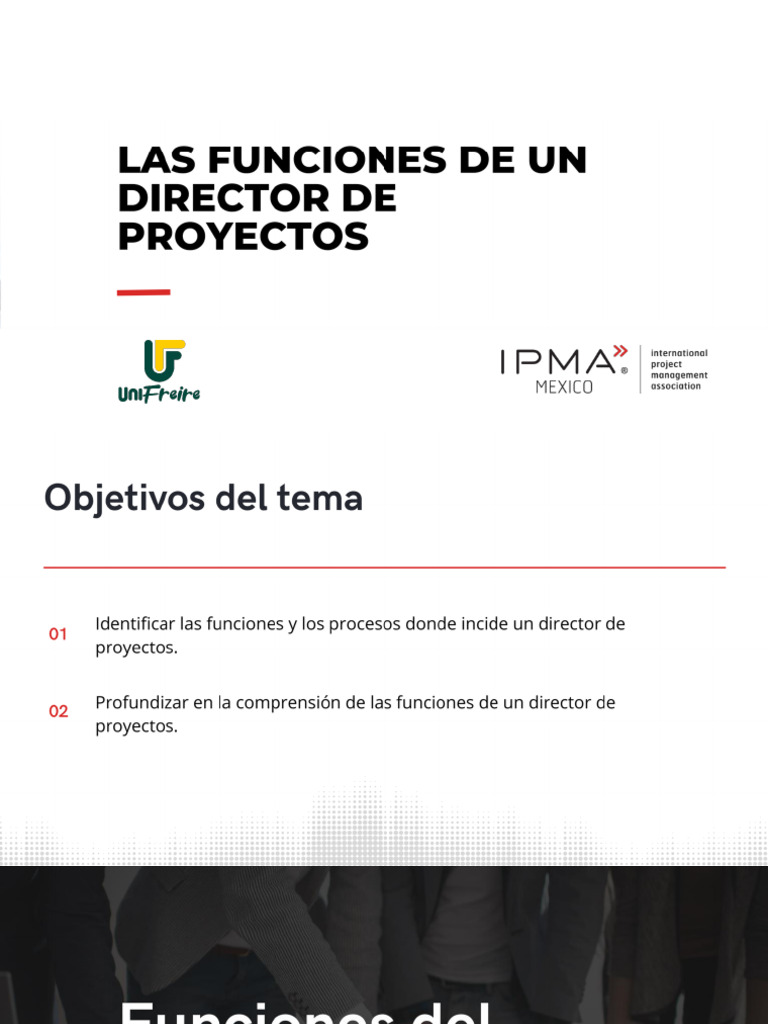 Funciones de Un Director de Proyectos | PDF